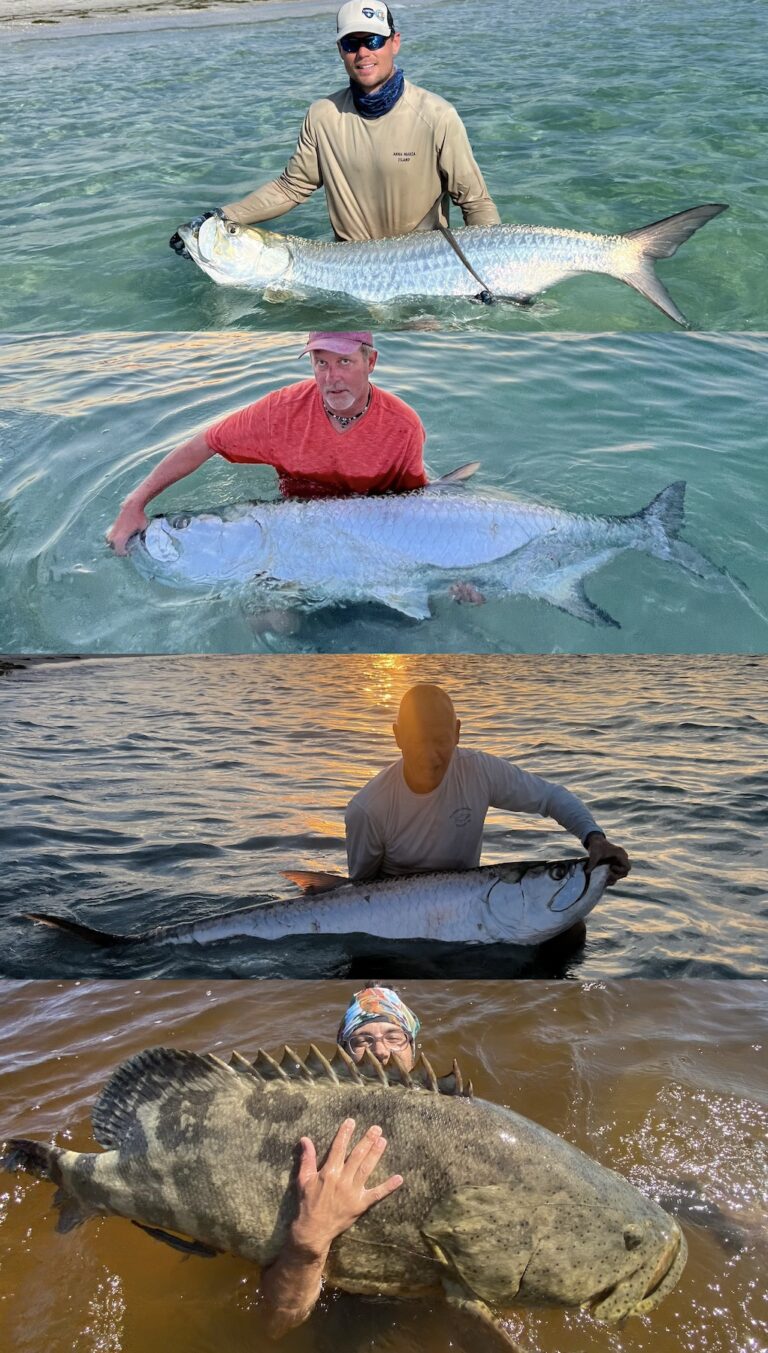 Boca Grande Charter Fishing